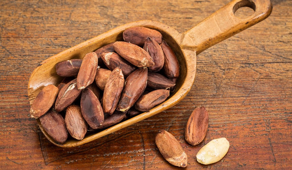 Pili Nuts: Sweet & Savory Uses in Bicolano Cuisine - pinascuisine.com