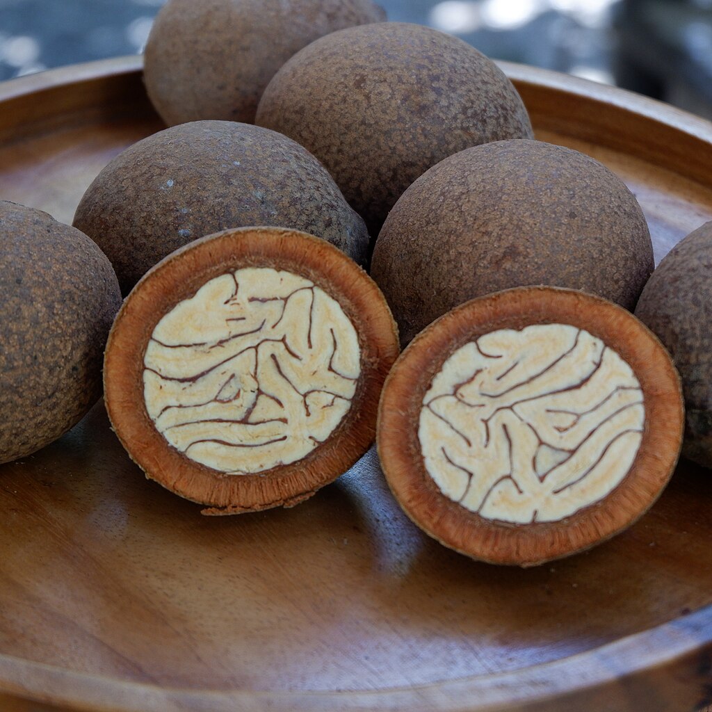 Tabon-tabon: Mindanao's Secret Flavoring Fruit - pinascuisine.com