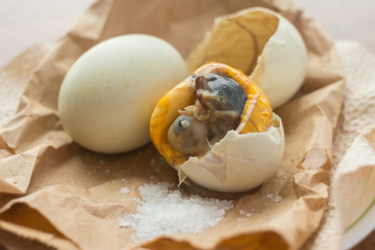 Balut: Are You Brave Enough for the Filipino Delicacy? - pinascuisine.com